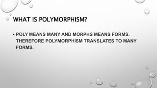 POLYMORPHISM.pptx