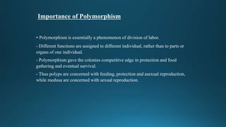 polymorphism.pptx