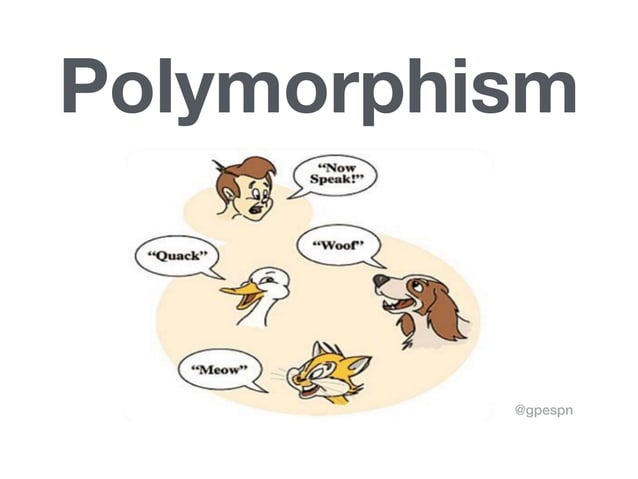 Polymorphism ruby | PPT