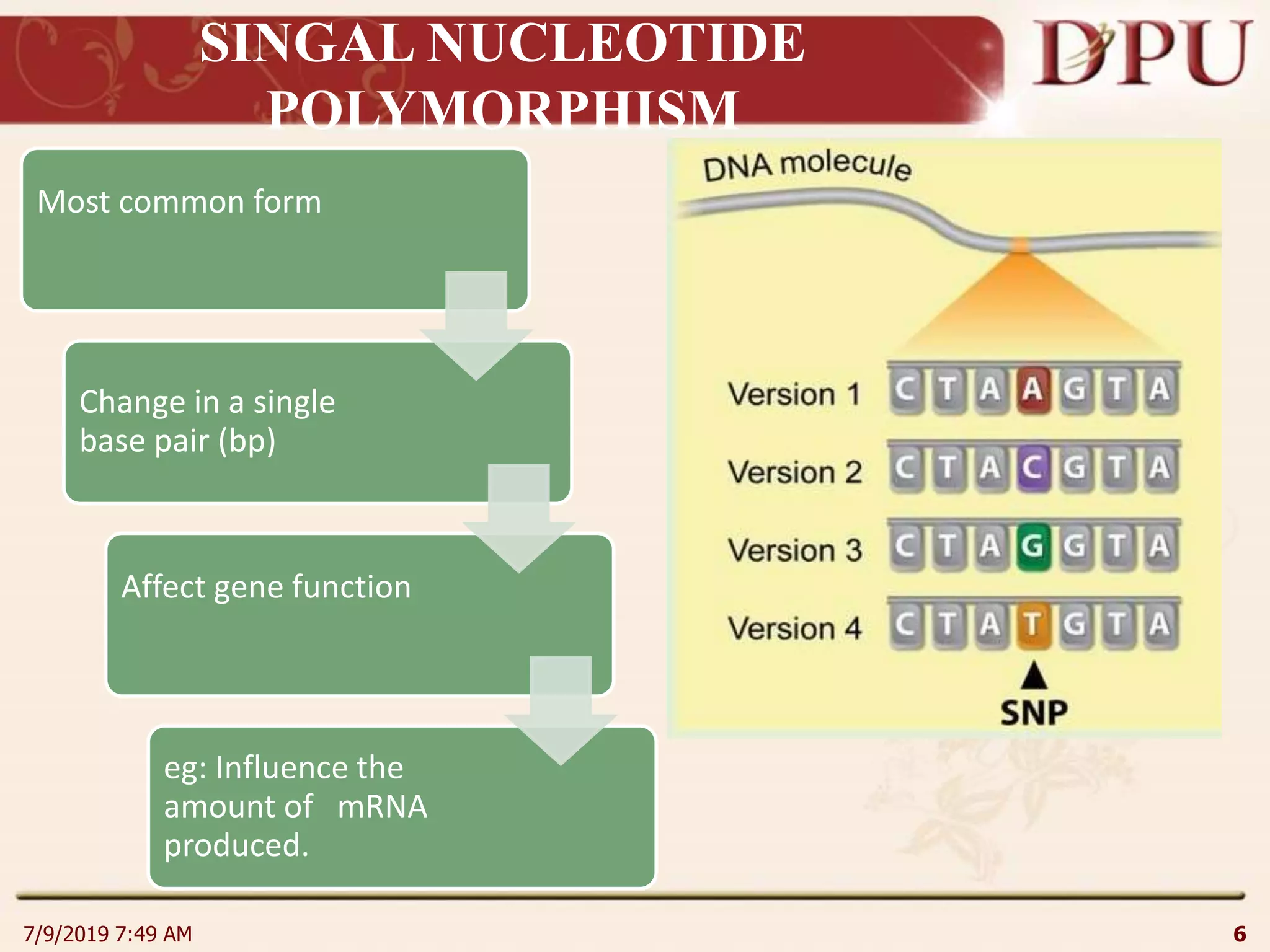 Polymorphism affecting drug metabolism . | PPT