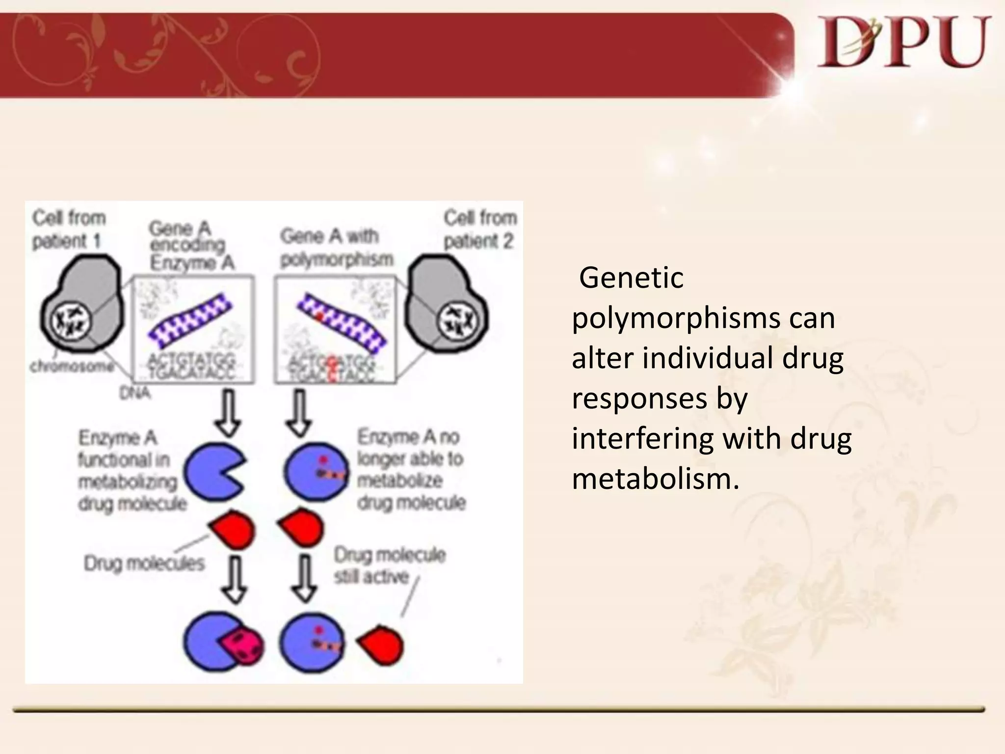 Polymorphism affecting drug metabolism . | PPT