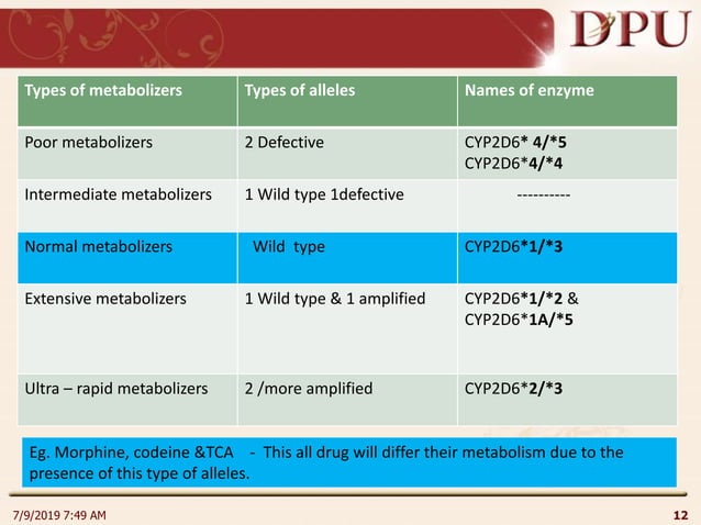 Polymorphism affecting drug metabolism . | PPT