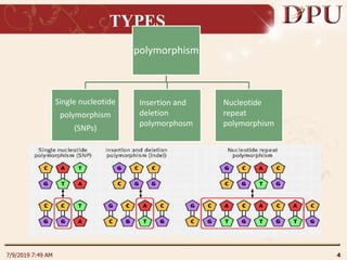 Polymorphism affecting drug metabolism . | PPT