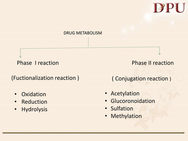 Polymorphism affecting drug metabolism . | PPT