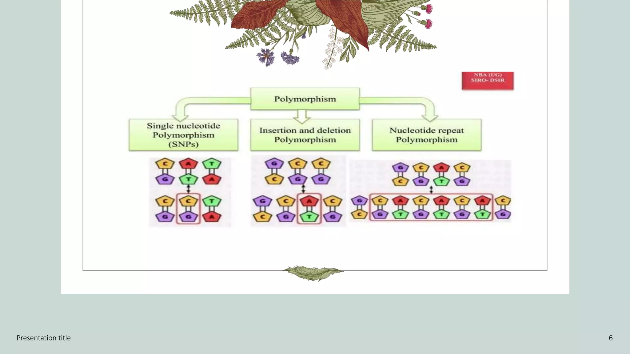 POLYMORPHISM AFFECTING DRUG METABOLISM.pptx