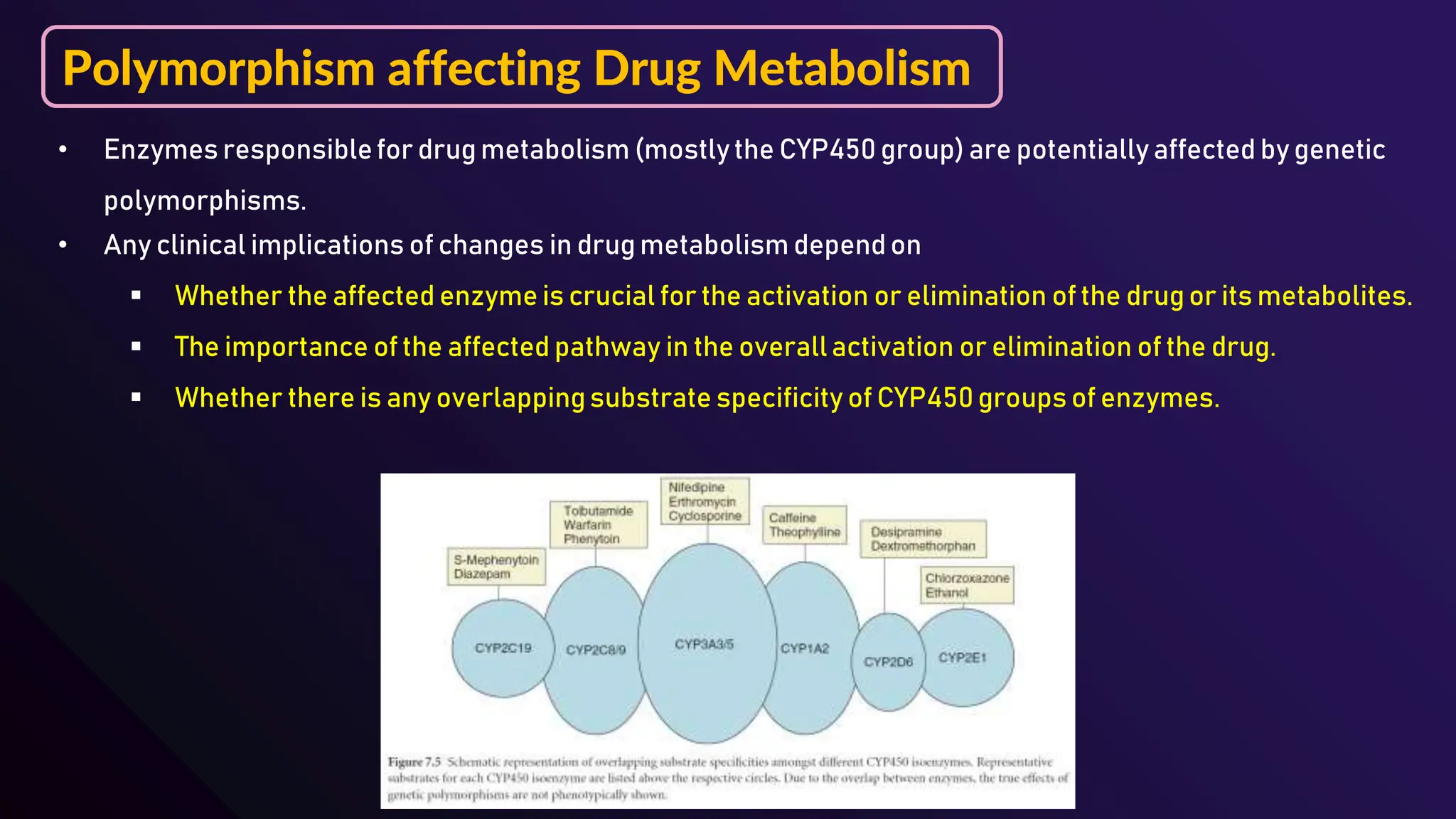 Polymorphism affecting Drug Metabolism.pptx | Endocrine and Metabolic ...