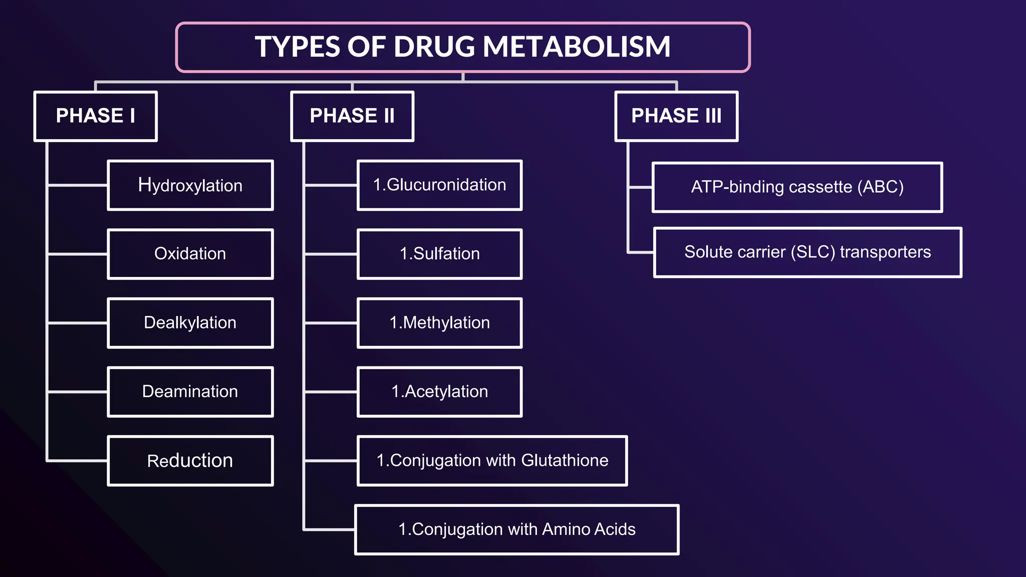 Polymorphism affecting Drug Metabolism.pptx