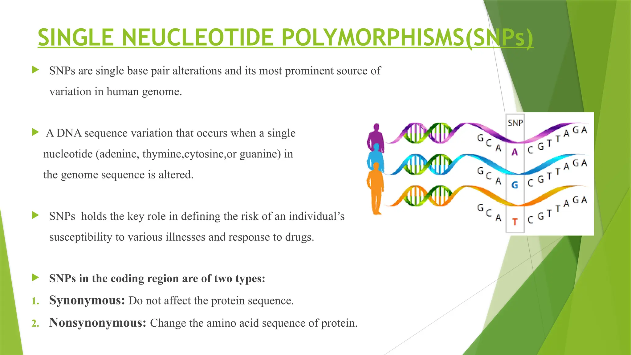Polymorphism affecting drug metabolism.pptx