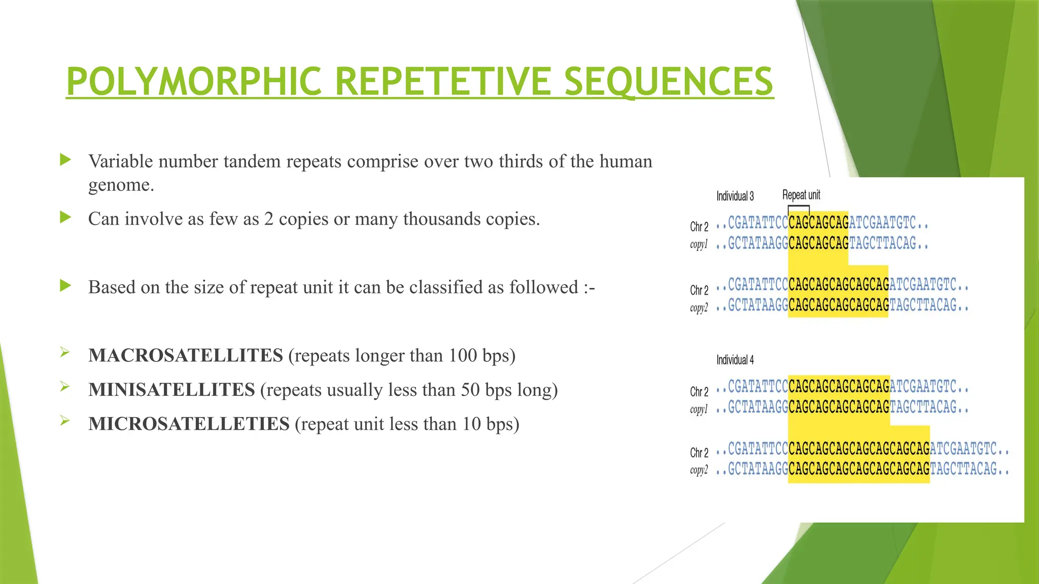 Polymorphism affecting drug metabolism.pptx