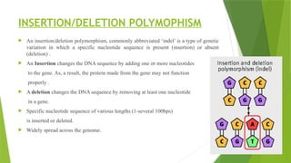 Polymorphism affecting drug metabolism.pptx