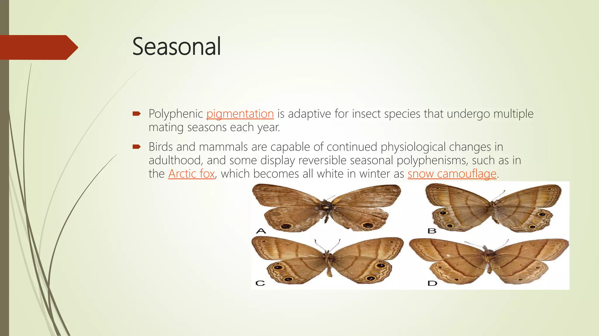 Polymorphism and polyphenism | PPTX
