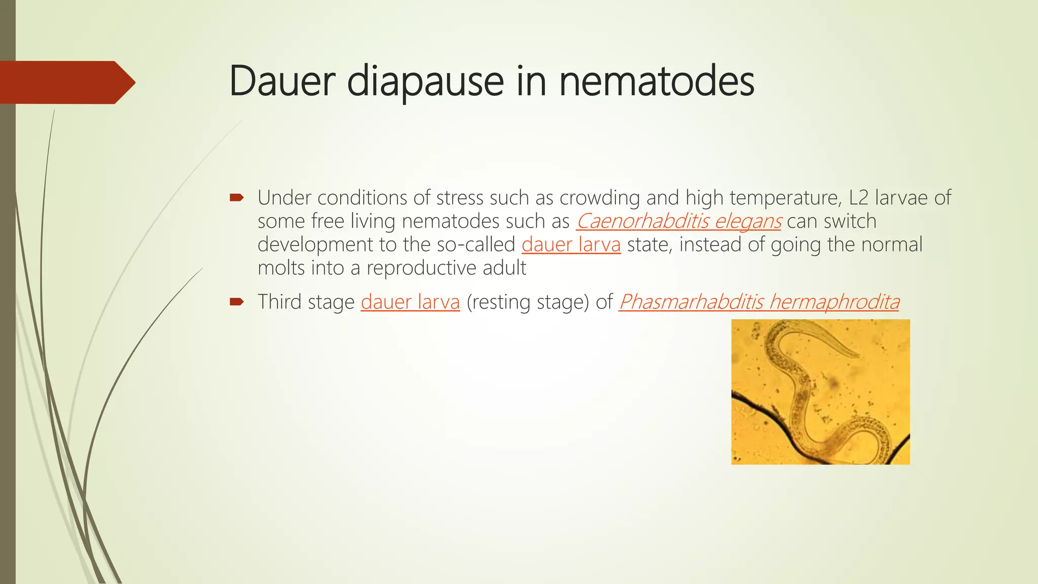 Polymorphism and polyphenism | PPTX