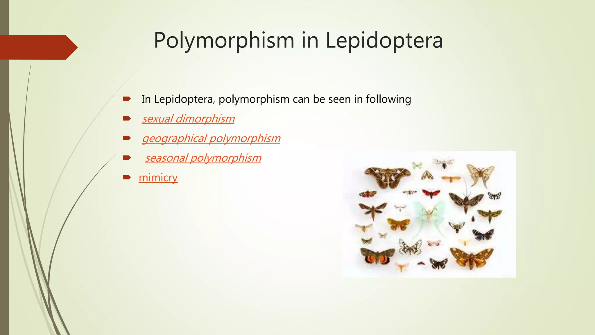 Polymorphism and polyphenism | PPTX