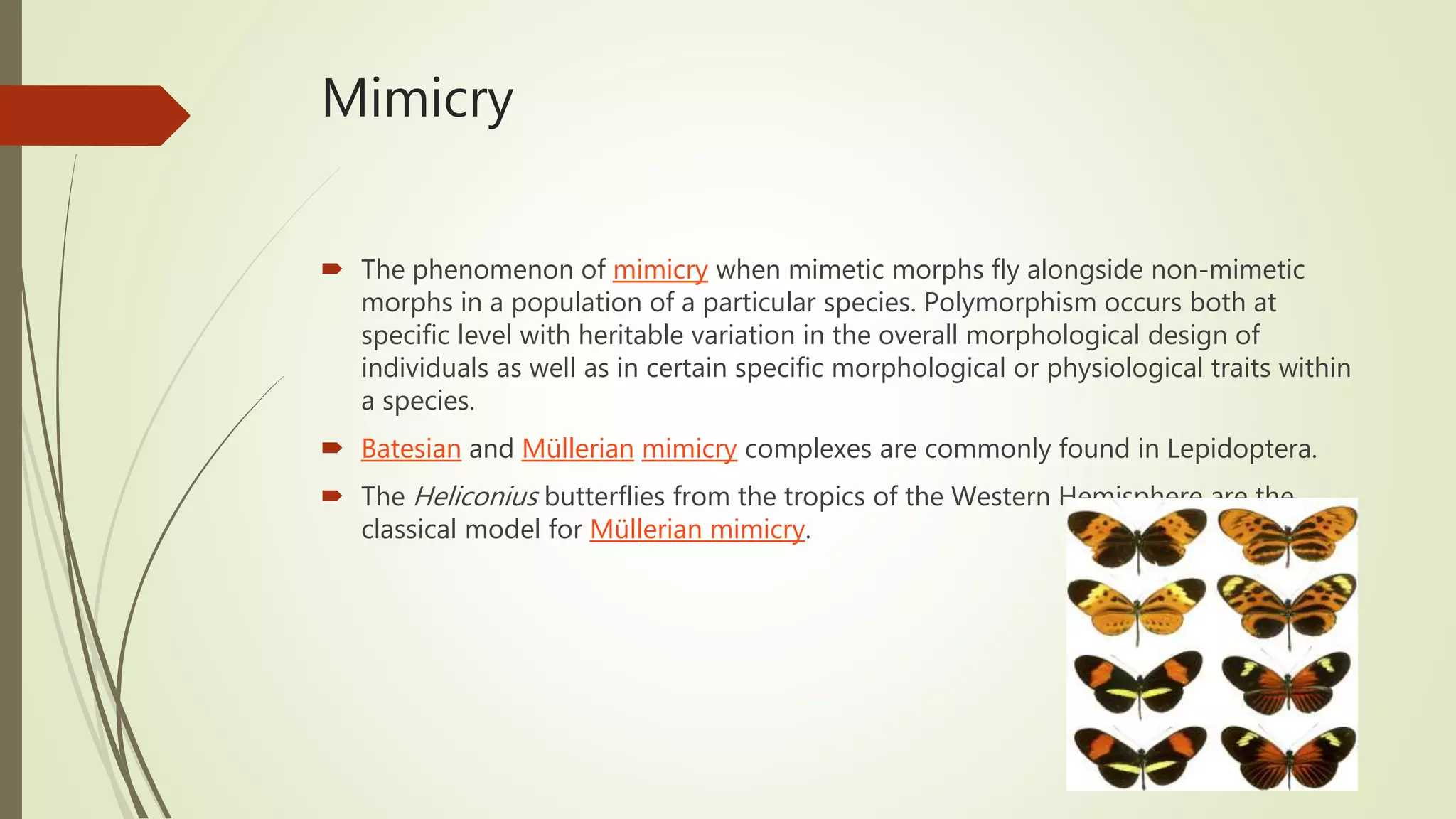 Polymorphism and polyphenism | PPTX