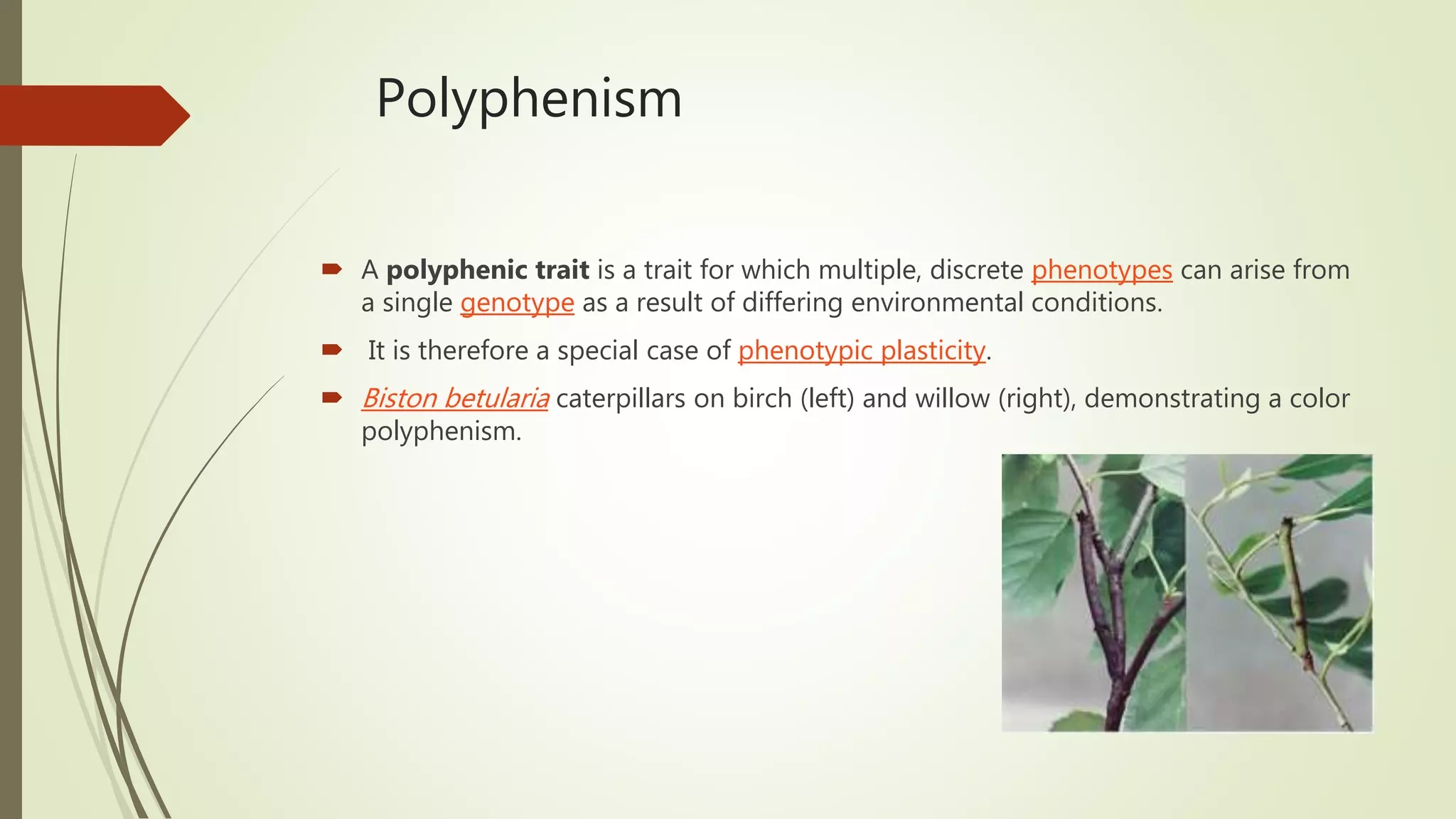 Polymorphism and polyphenism | PPTX