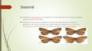 Polymorphism and polyphenism | PPTX