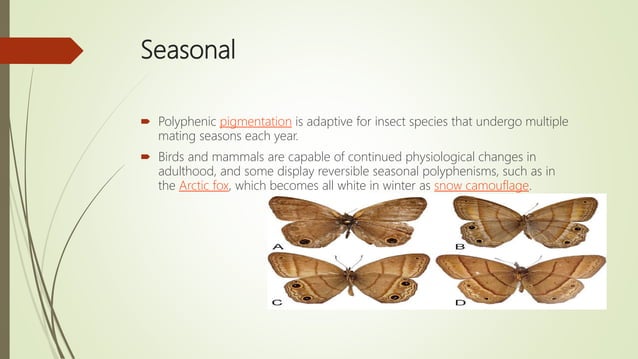 Polymorphism and polyphenism | PPTX