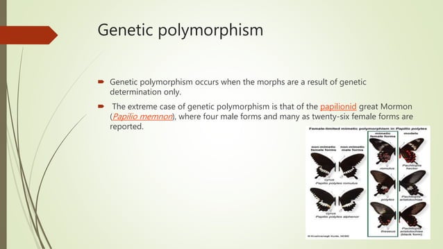 Polymorphism and polyphenism | PPTX
