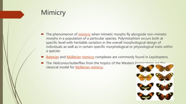 Polymorphism and polyphenism | PPTX