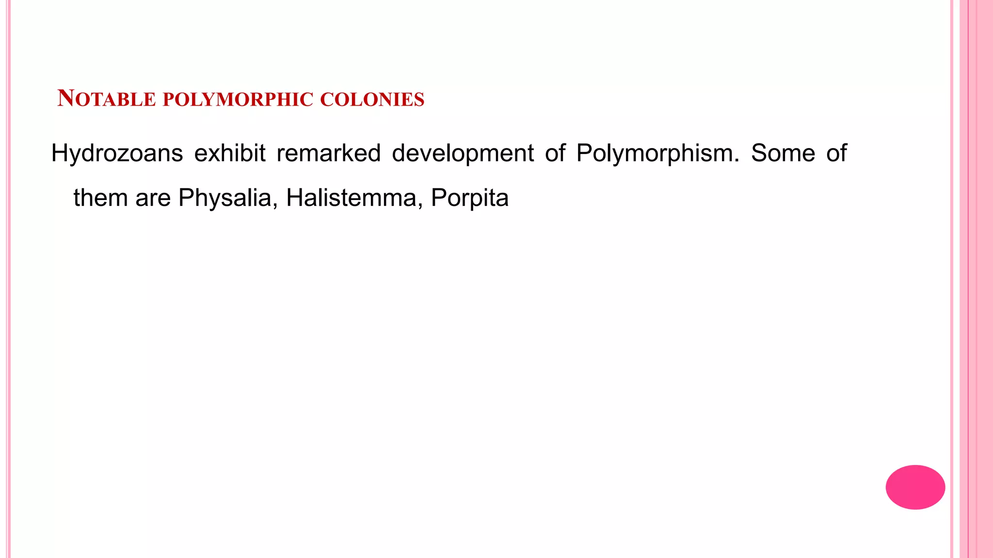POLYMORPHISM (EM).pptx