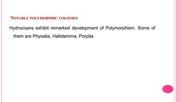 POLYMORPHISM (EM).pptx