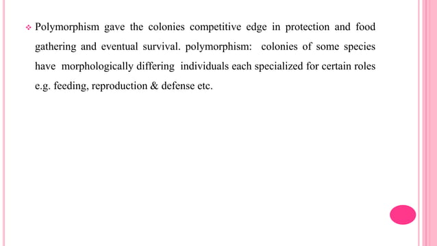 POLYMORPHISM (EM).pptx