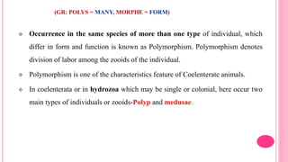 POLYMORPHISM (EM).pptx