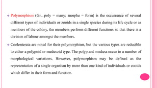 POLYMORPHISM (EM).pptx