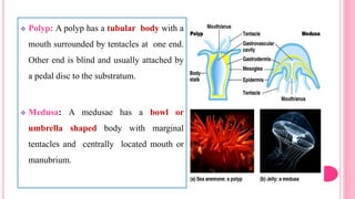 POLYMORPHISM (EM).pptx