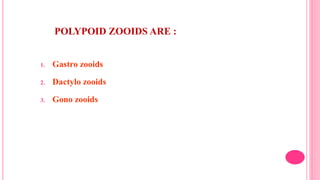 POLYMORPHISM (EM).pptx