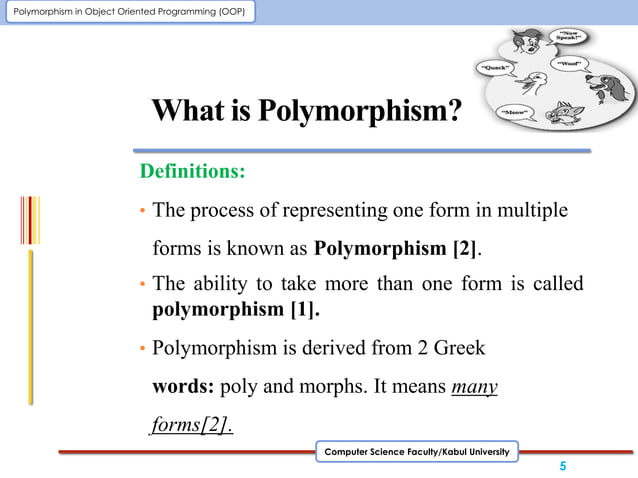 Polymorphism In Oop 0385