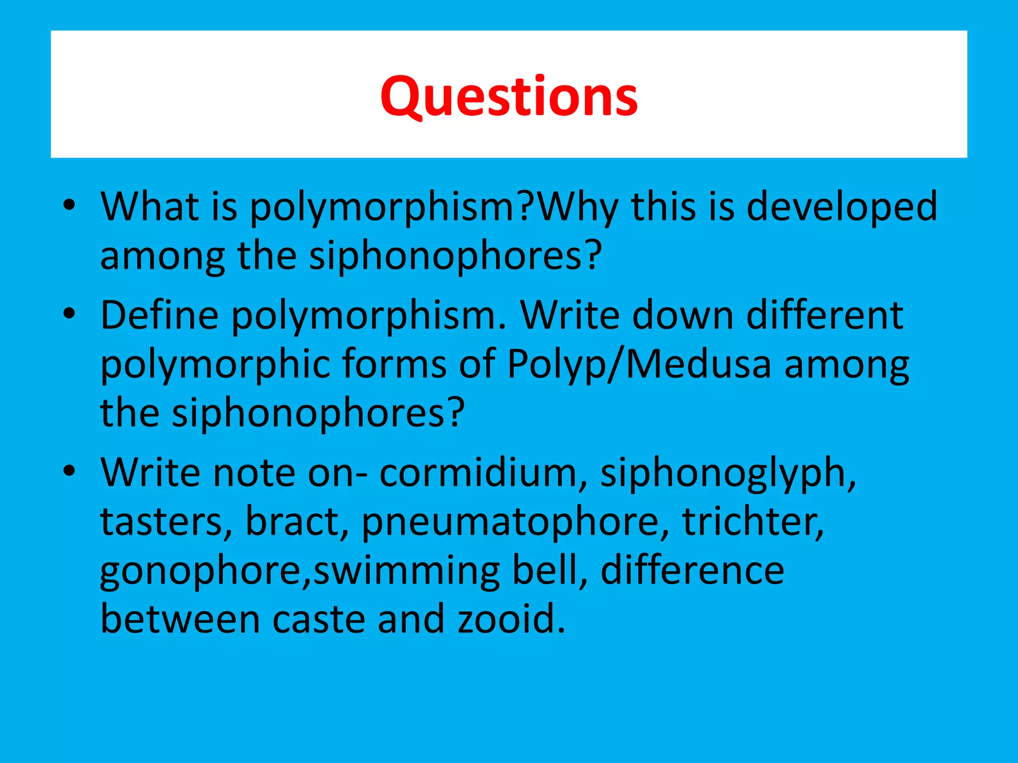 Polymorphism in siphonophora | PPTX