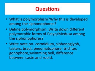 Polymorphism in siphonophora | PPTX