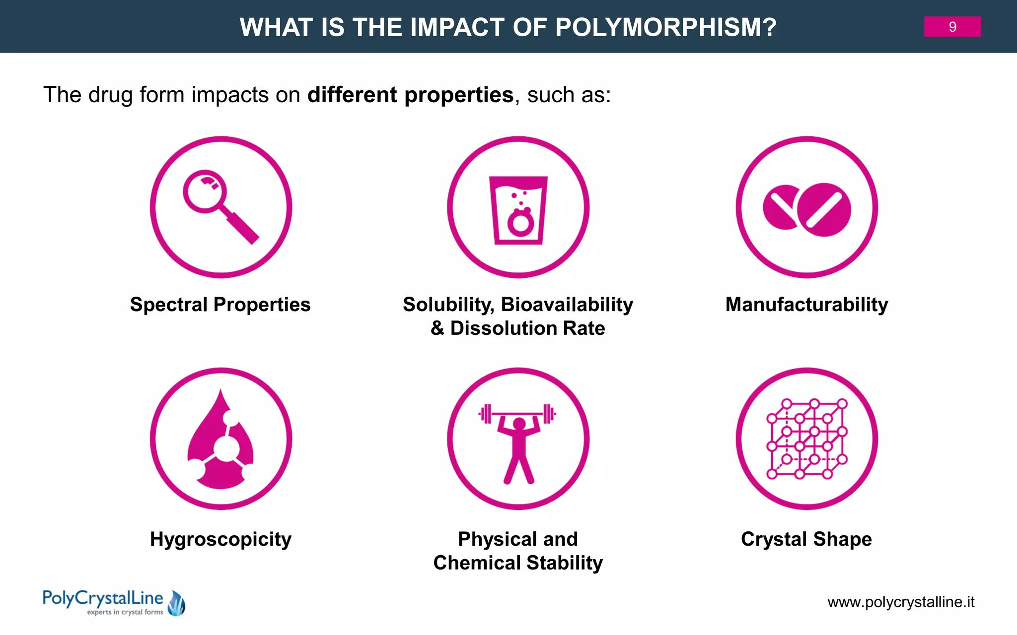 Polymorphism: opportunity or problem? | PDF