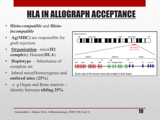 Transplantation Immunology -by Samruddhi Shinde | PPT