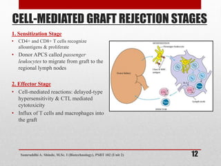 Transplantation Immunology -by Samruddhi Shinde | PPT