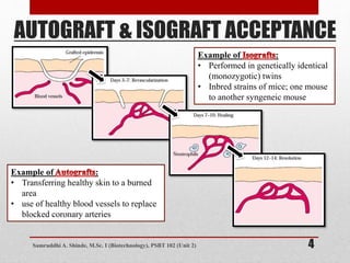 Transplantation Immunology -by Samruddhi Shinde | PPT