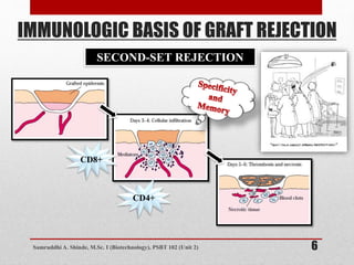 Transplantation Immunology -by Samruddhi Shinde | PPT