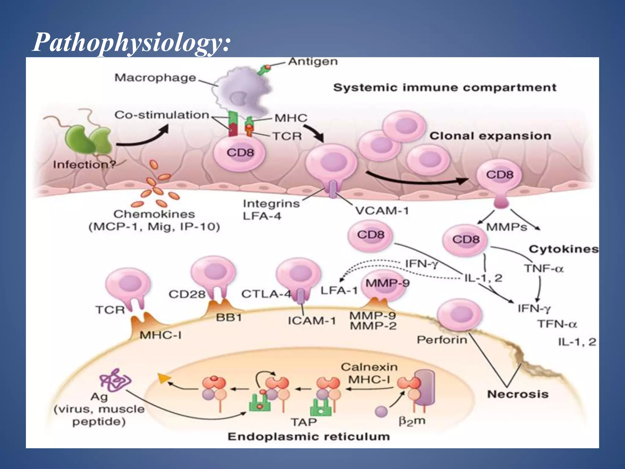 CASE PRESENTATON on POLYMYOSITIS | PPTX