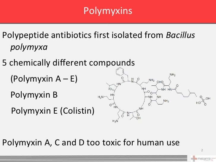 Polymyxins revisited