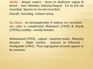 Polynemid &polynemid reources | PPT