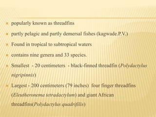 Polynemid &polynemid reources | PPT