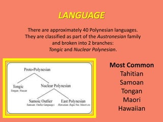 Polynesian powerpoint presentation | PPTX