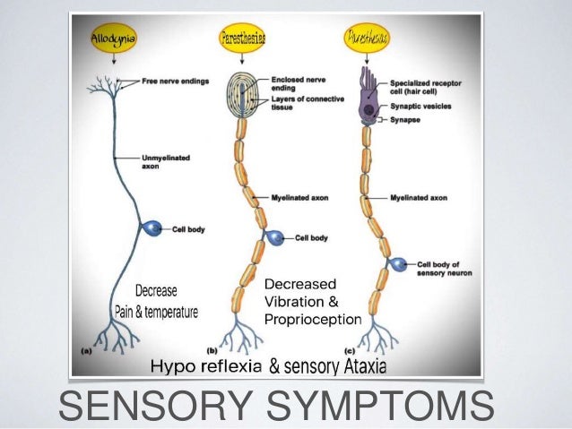 Poly neuropathy in pictures