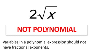 Polynomial Activity.pptx