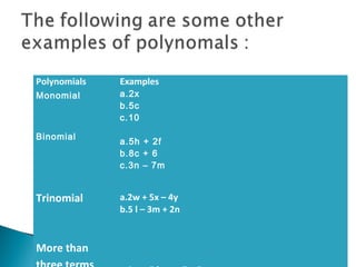 Polynomials | PPT | Physics | Science