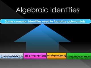 Polynomials | PPTX