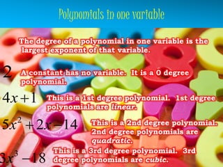 Polynomials | PPTX | Physics | Science