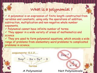 Polynomials | PPTX