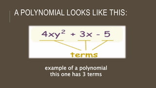Polynomials | PPT